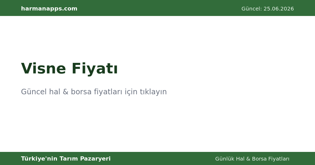 Vişne Fiyatları 2026 | Hal Borsa Grafiği | Harman App